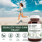easy-to-digest iron supplement