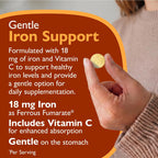 easy to digest iron tablets