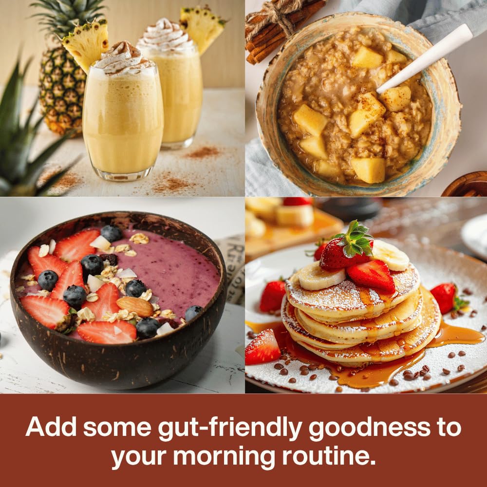 easy to digest plant protein powder