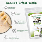 easy to digest whey protein powder