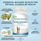 easy-to-give chewables for pets