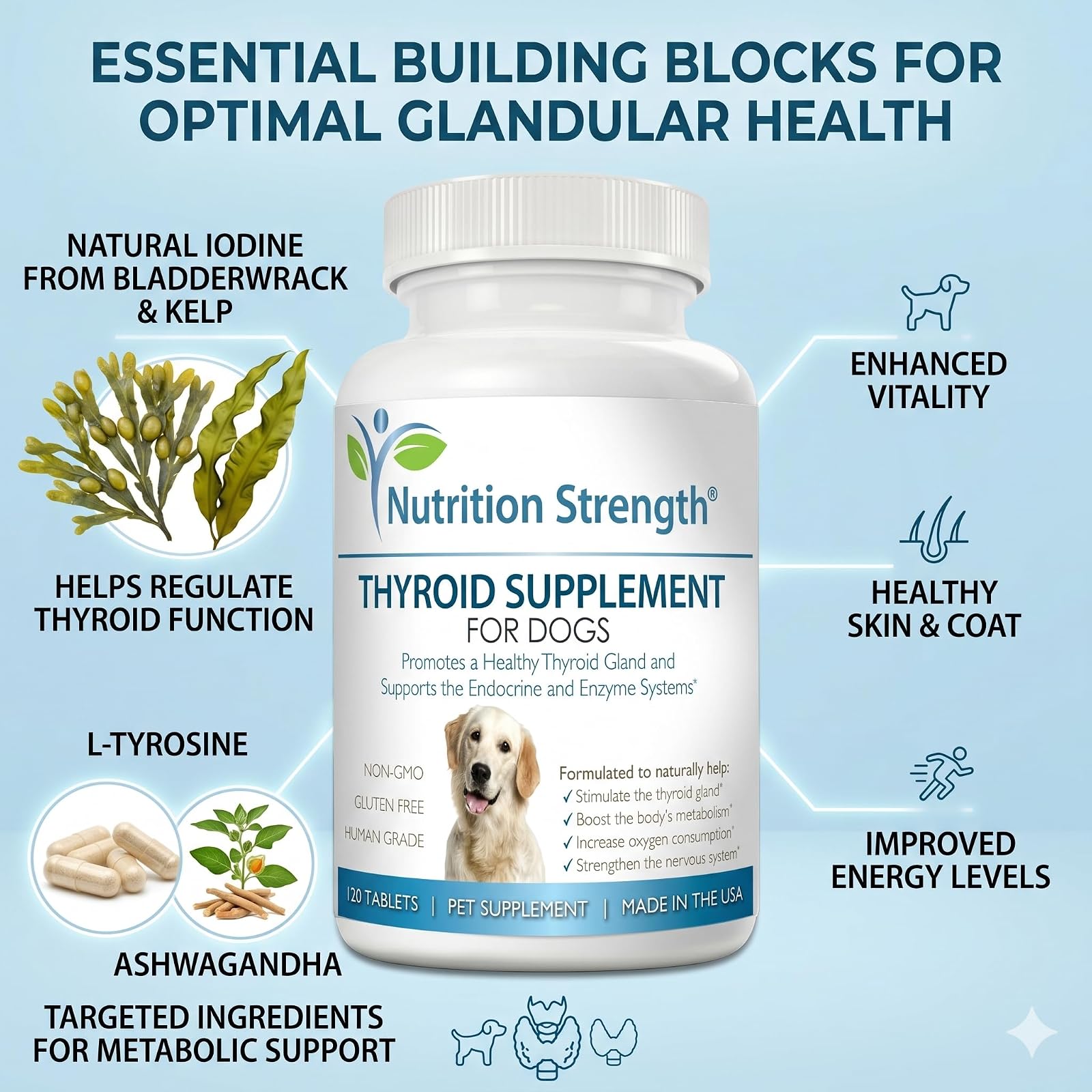 easy-to-give chewables for pets