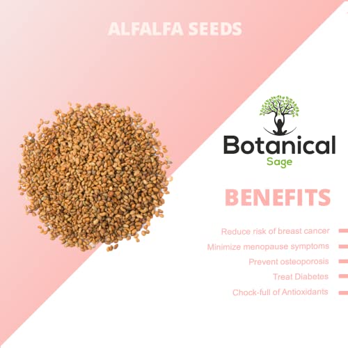 easy-to-grow alfalfa seeds indoors
