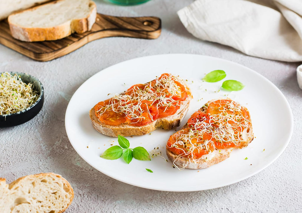 easy to grow alfalfa sprouting seeds