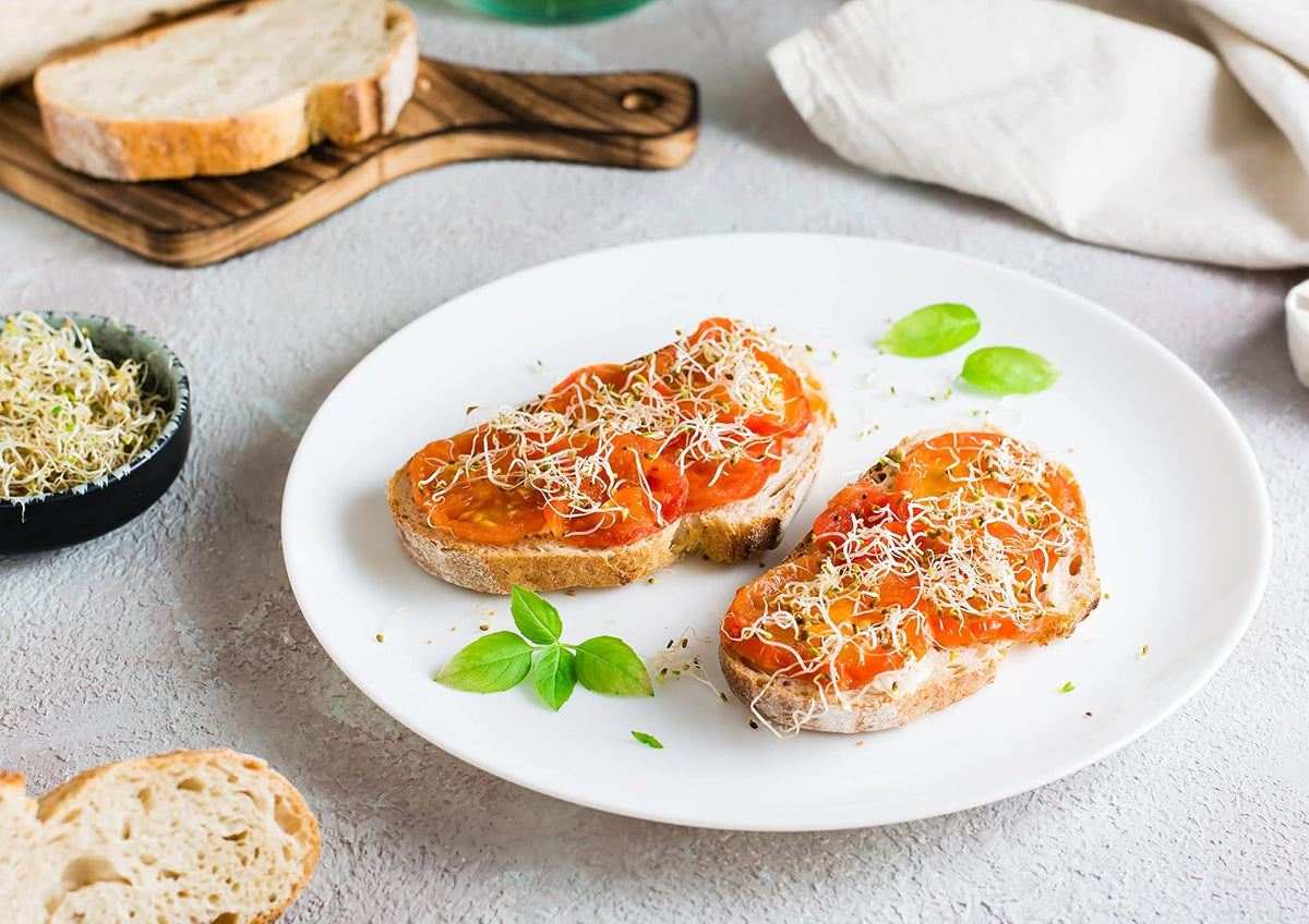 easy to grow alfalfa sprouting seeds