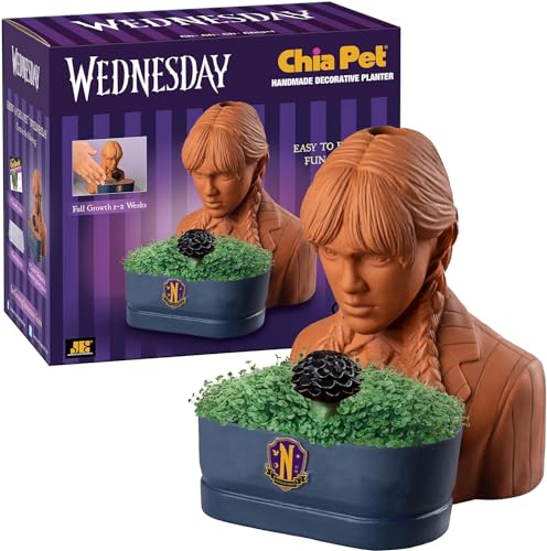 easy to grow chia pet