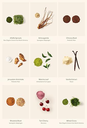 easy-to-mix alfalfa supplement powder