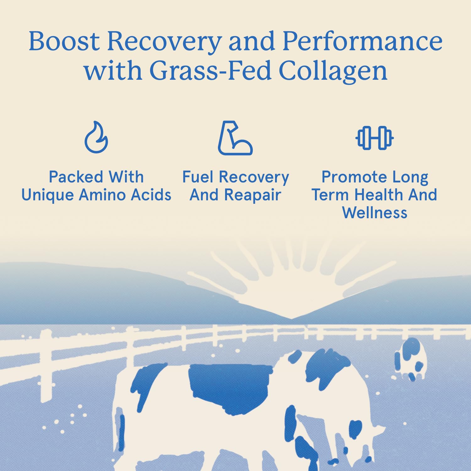 easy-to-mix collagen powder supplement