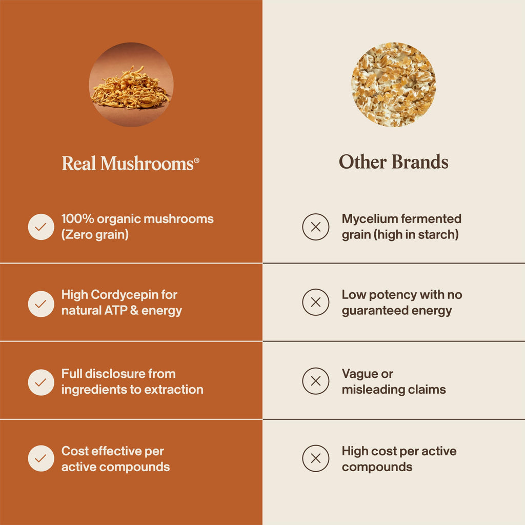 easy to mix cordyceps mushroom powder