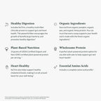 easy-to-mix plant protein powder