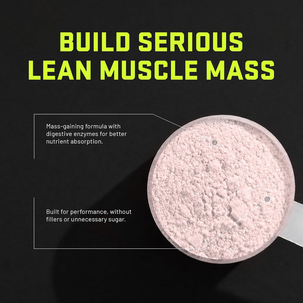 easy-to-mix weight gainers for quick shakes
