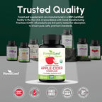 easy-to-swallow apple cider capsules