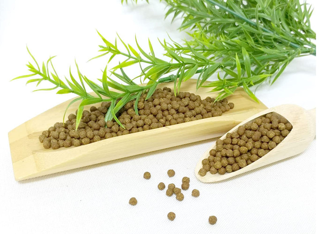 easy-to-swallow artichoke herbal pills