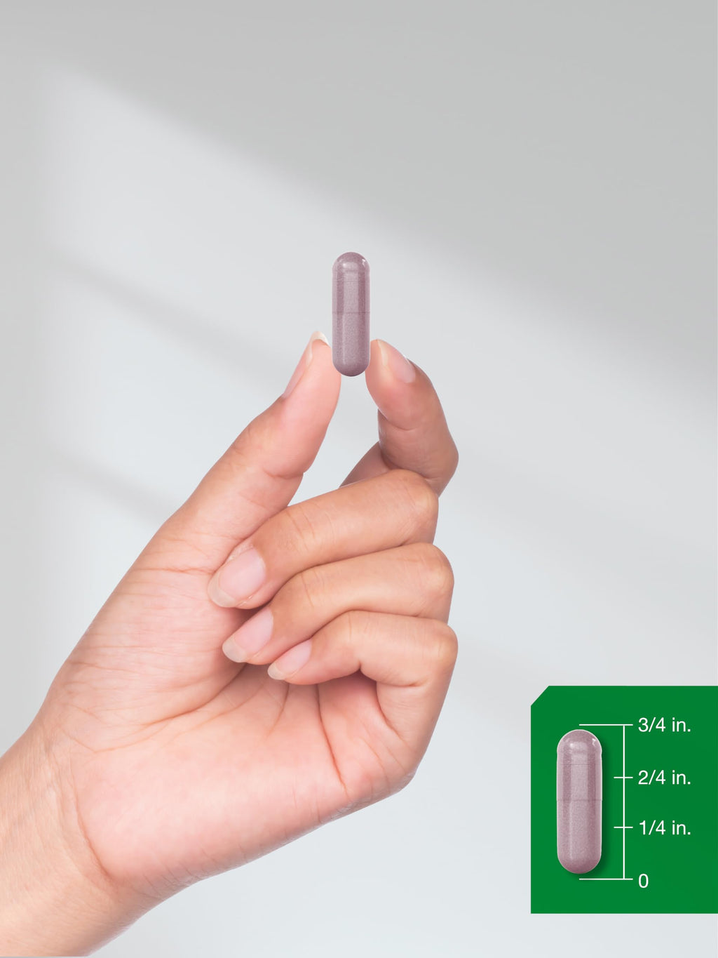 easy-to-swallow bilberry vegetarian capsules