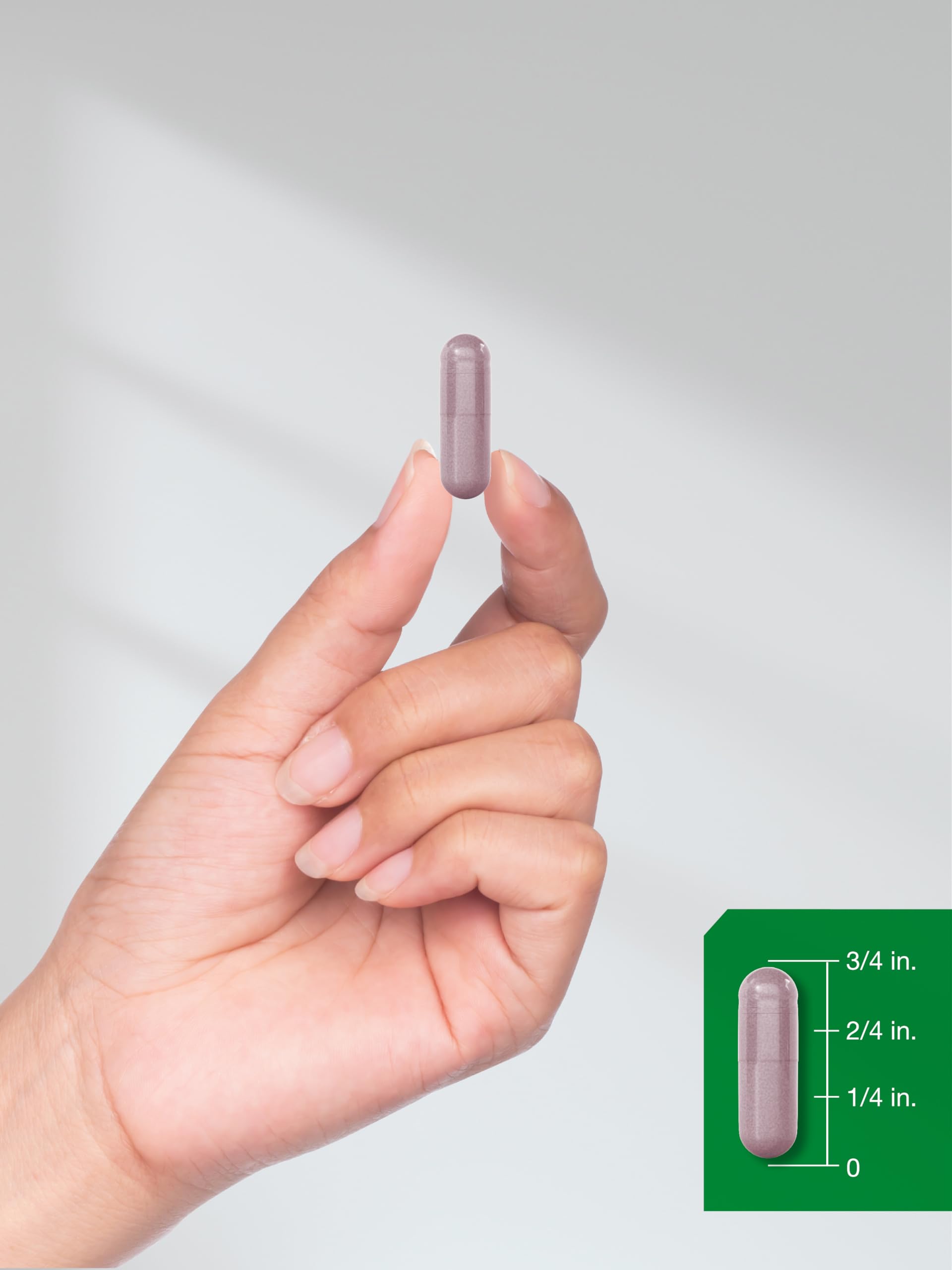 easy-to-swallow bilberry vegetarian capsules