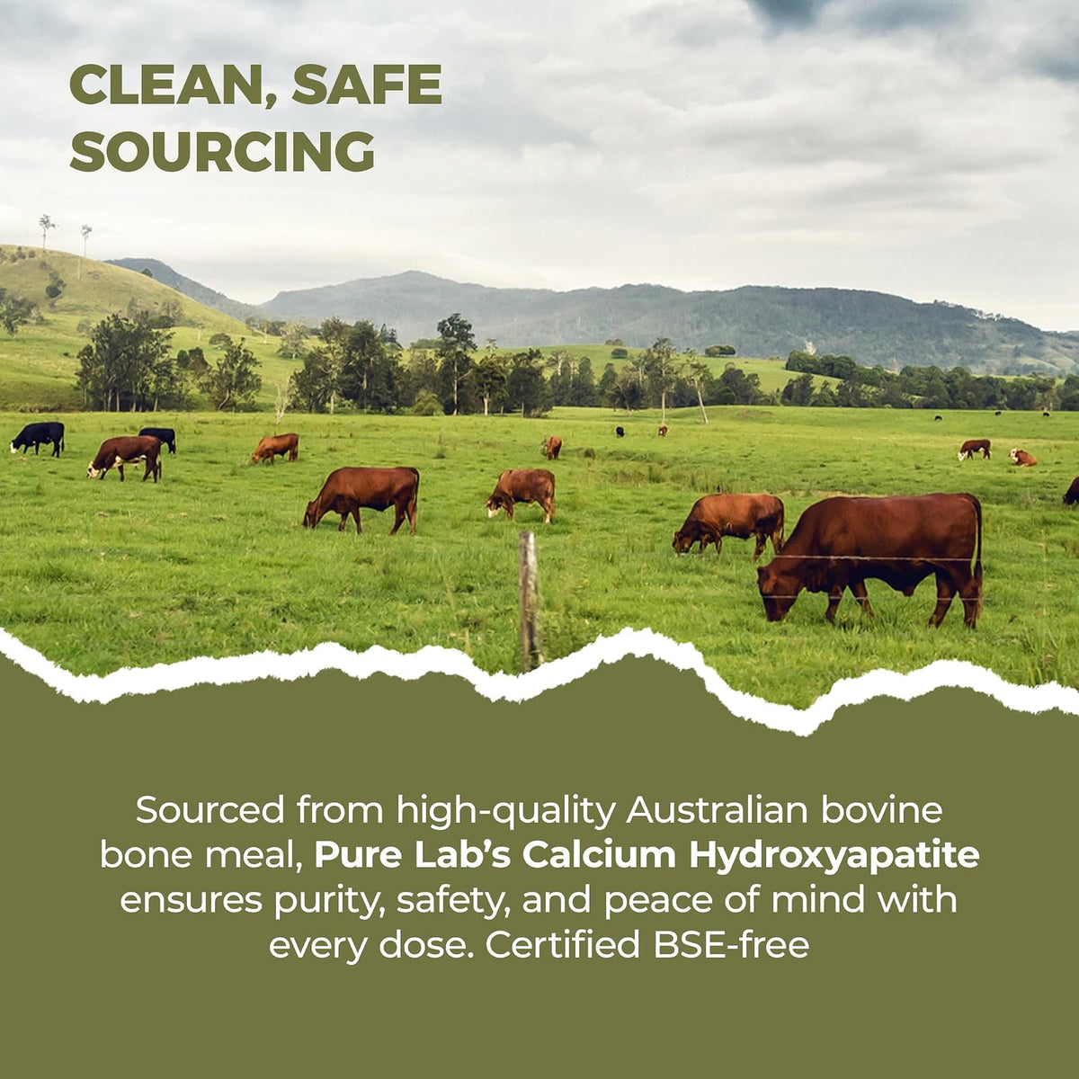 easy to swallow calcium capsules