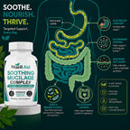 Easy-to-swallow capsules for daily wellness