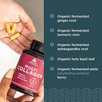 easy-to-swallow collagen capsules