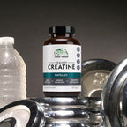 easy-to-swallow creatine capsules