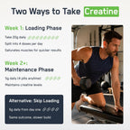 easy-to-swallow creatine capsules