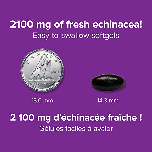 easy to swallow echinacea softgels