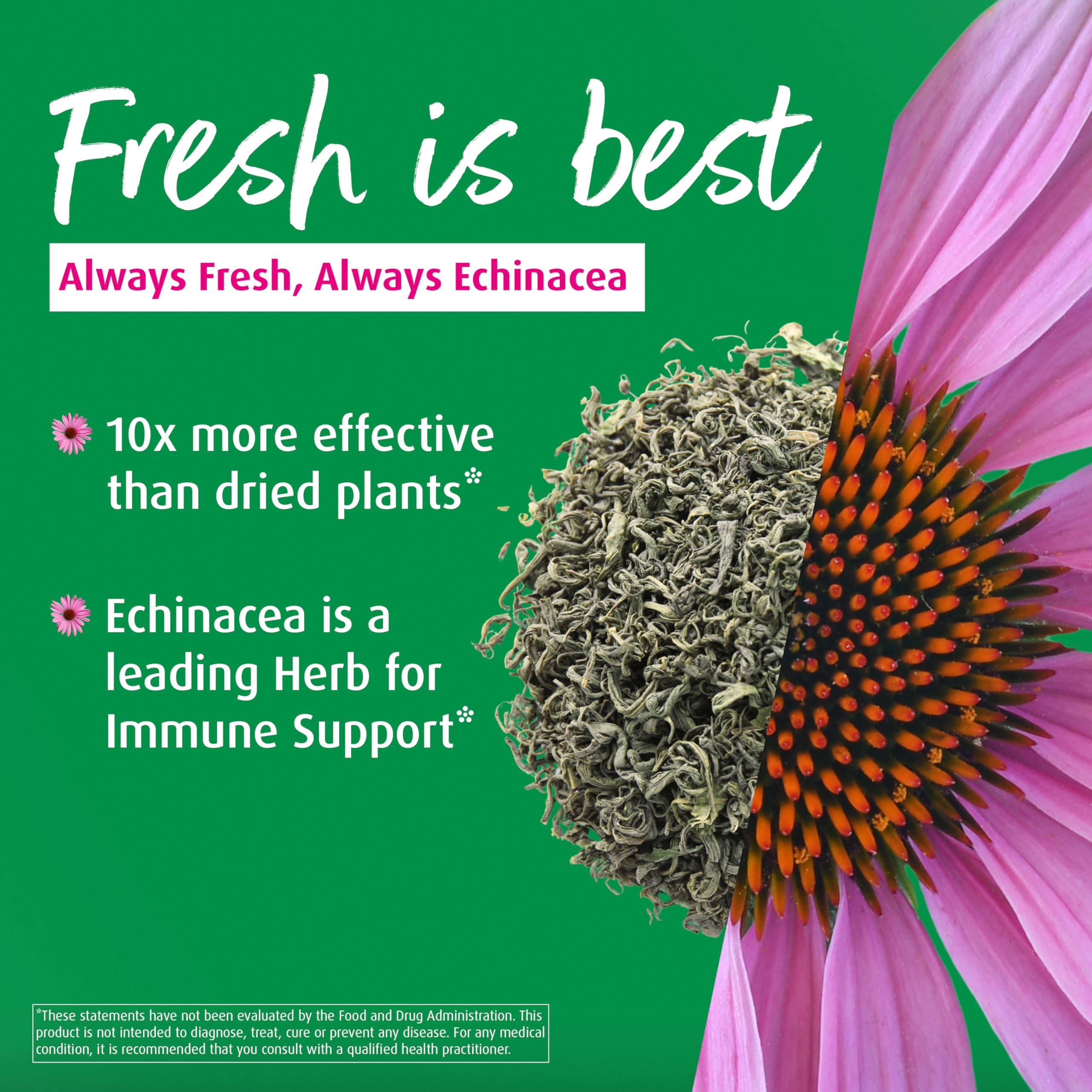 easy to swallow echinacea tablets