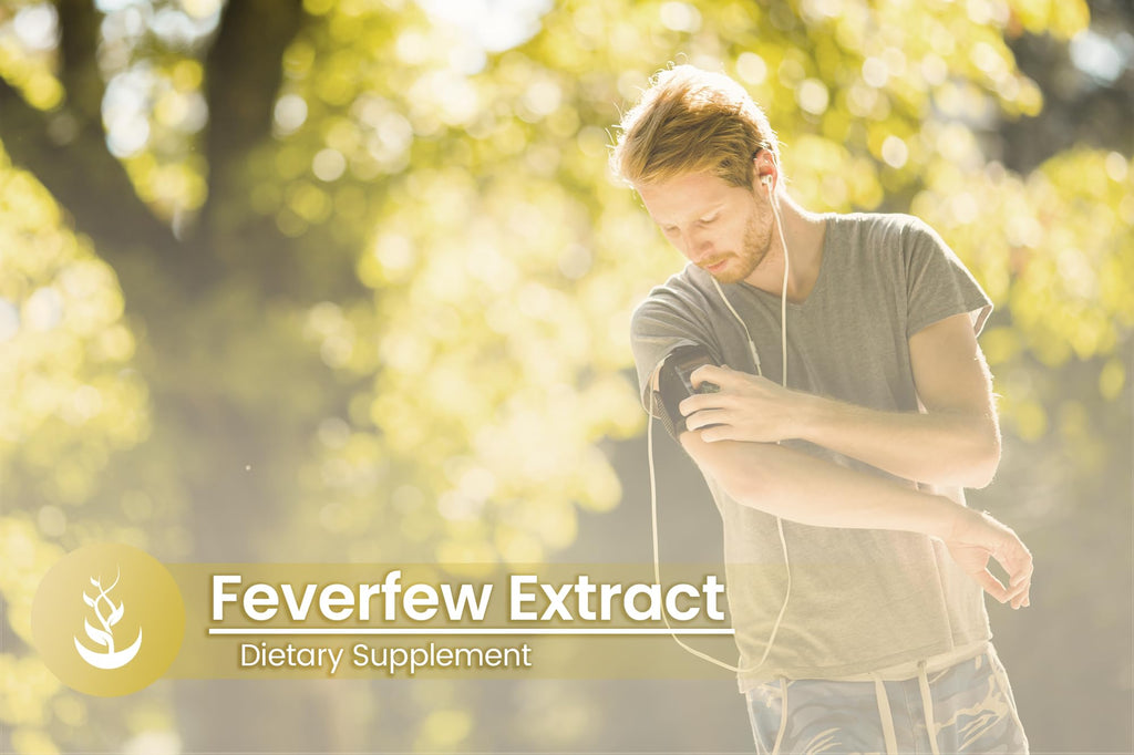 easy-to-swallow feverfew capsules