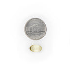 easy to swallow garlic softgels