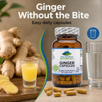 easy-to-swallow ginger capsules