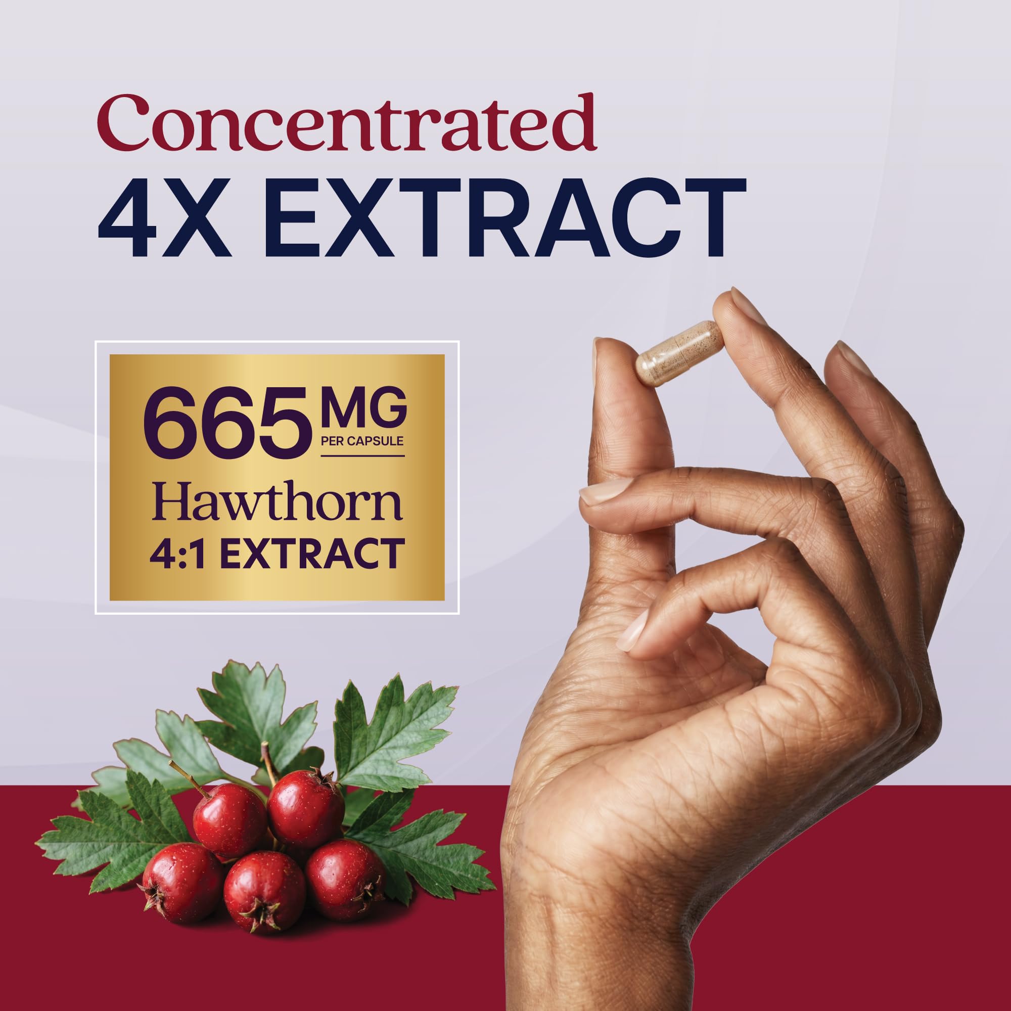 easy-to-swallow hawthorn berry capsules
