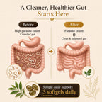 easy-to-swallow herbal softgels