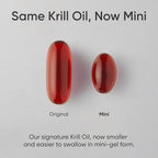 easy to swallow krill oil