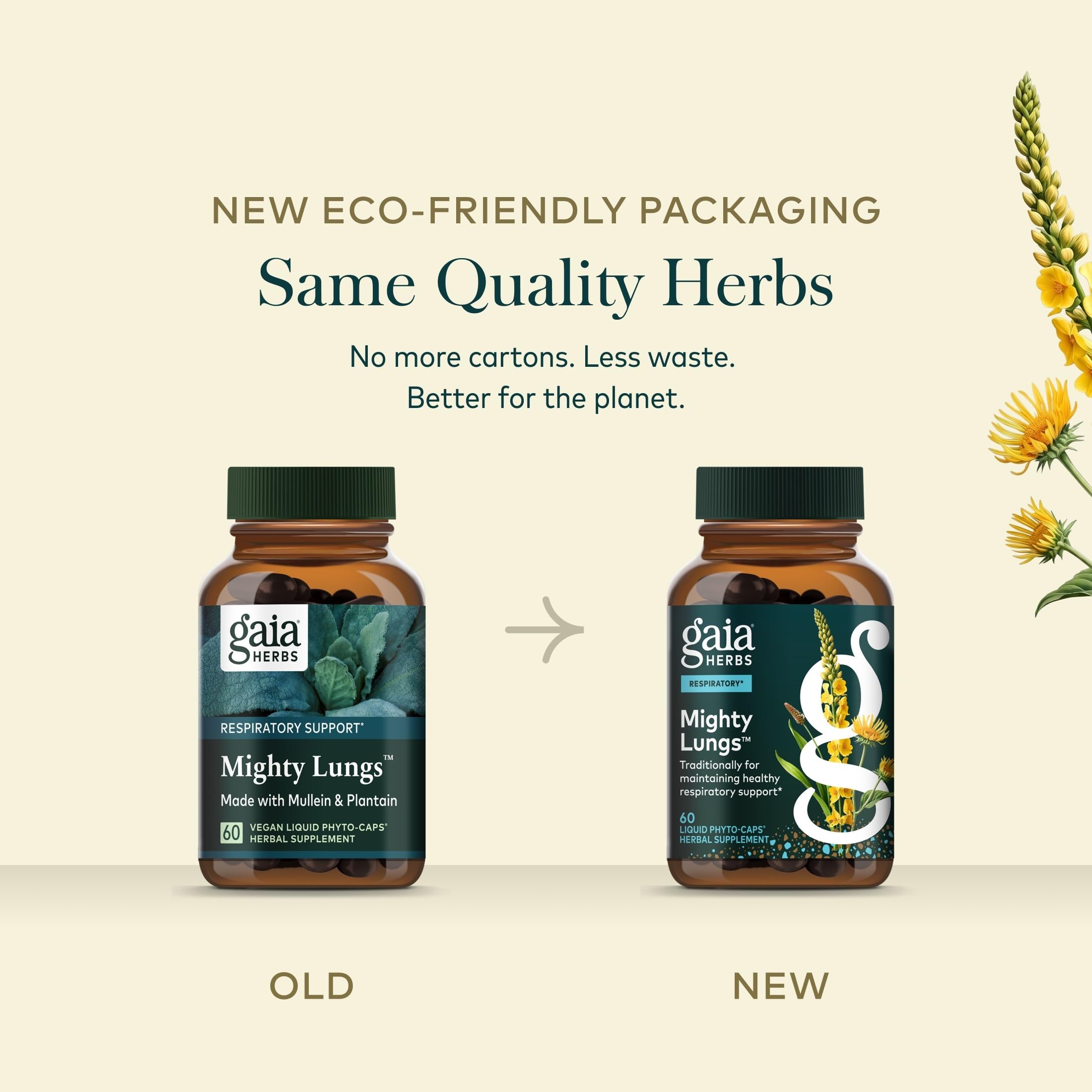 easy-to-swallow lung support capsules