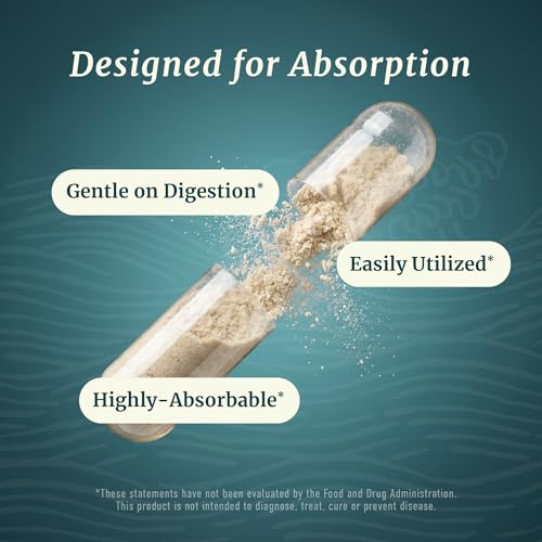easy to swallow magnesium capsules