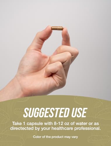 easy-to-swallow mushroom capsules