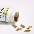 easy-to-swallow olive leaf capsules