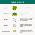 easy-to-swallow Omega 3 capsules
