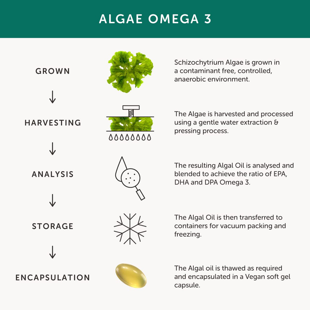 easy-to-swallow Omega 3 capsules