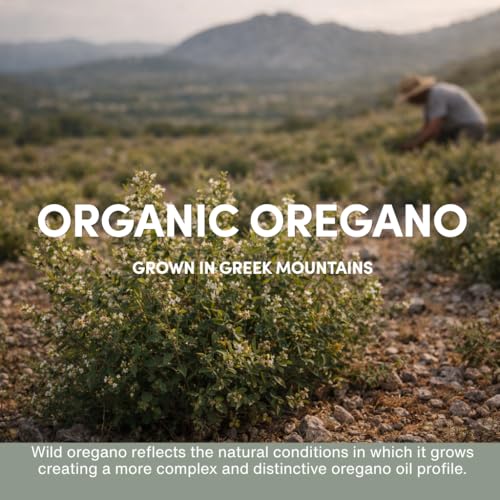easy to swallow oregano oil softgels