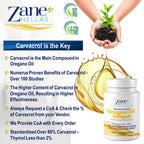 easy to swallow oregano oil softgels