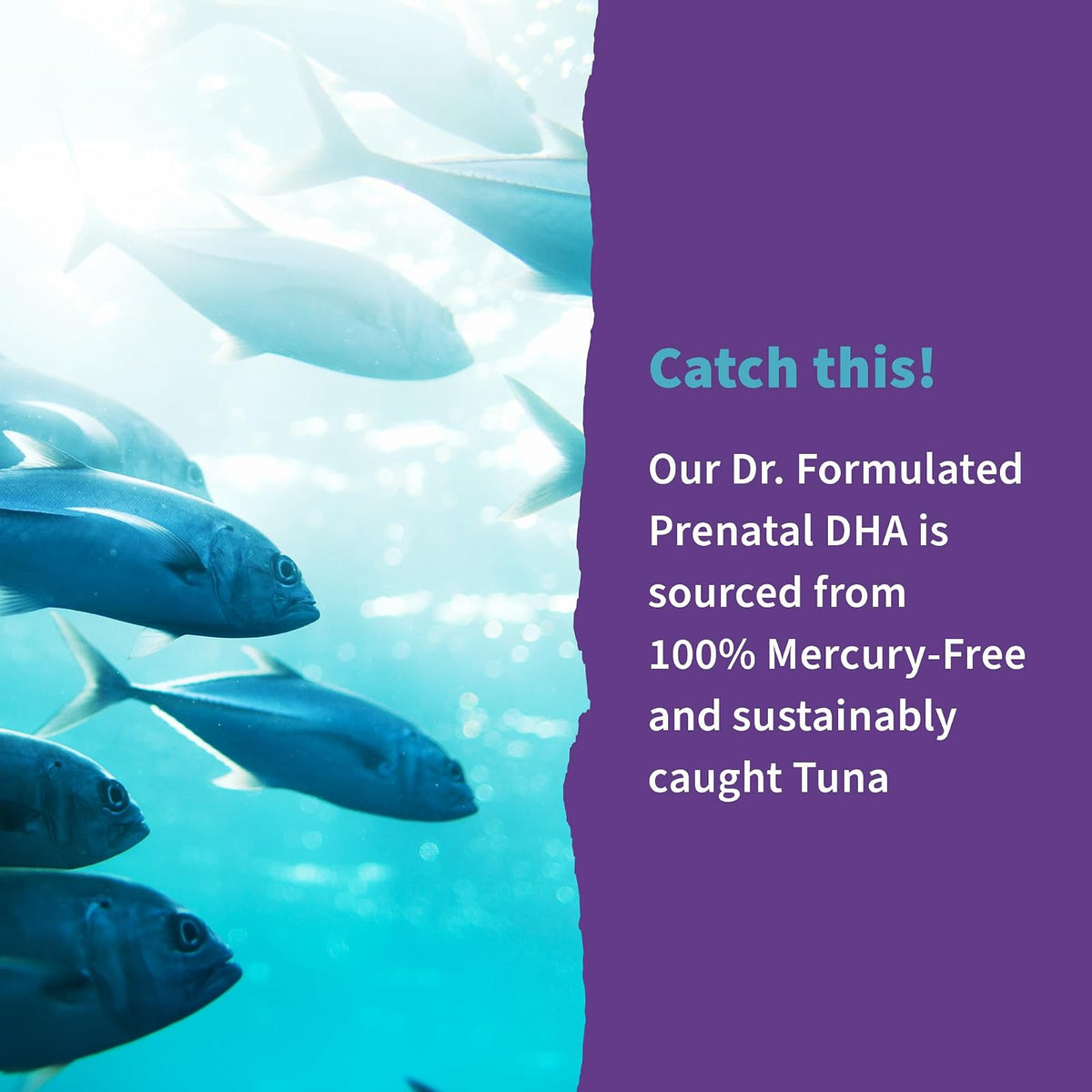 easy-to-swallow prenatal fish oil