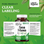 easy-to-swallow sea moss pills