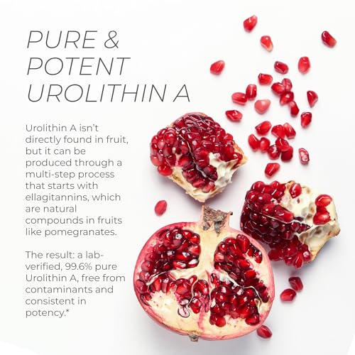 easy-to-swallow supplement capsules