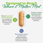easy-to-swallow vegan probiotic capsules