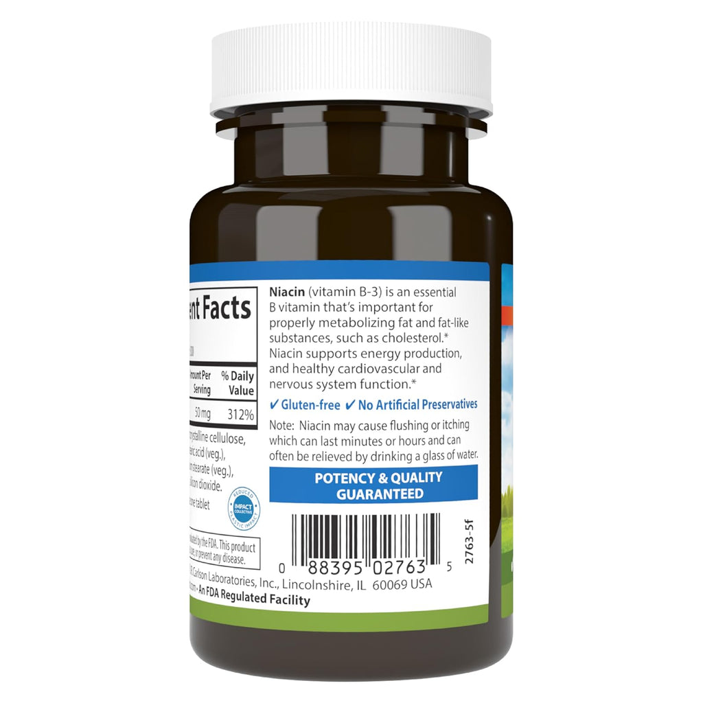Easy-to-swallow vitamin B3 supplement