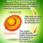 easy to swallow vitamin c capsules