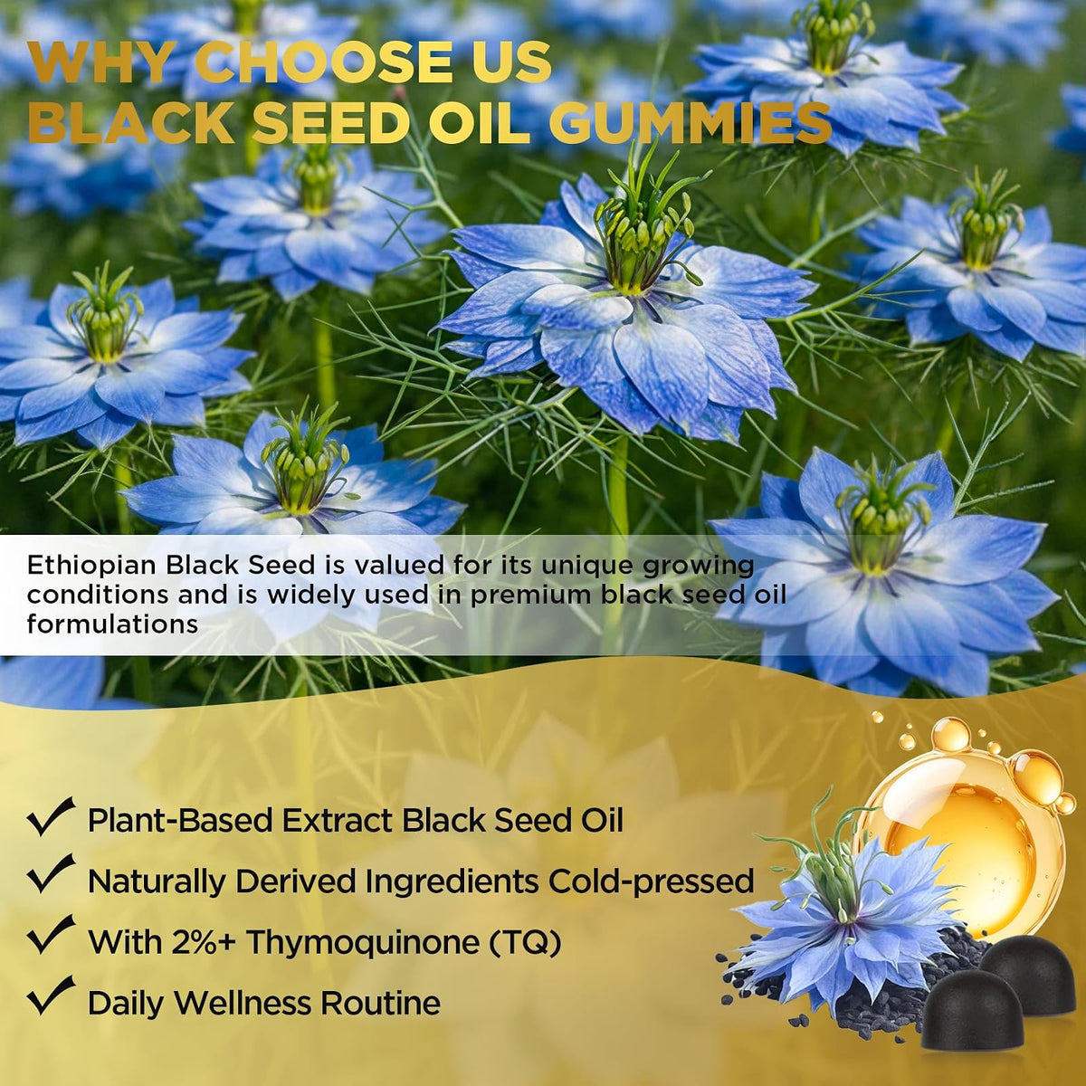 easy to take black seed gummies