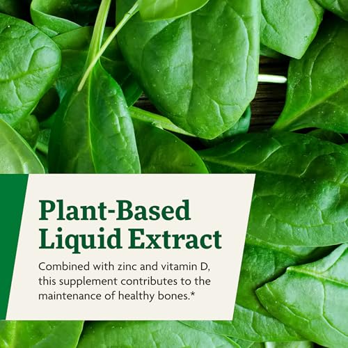 easy-to-take calcium magnesium formula