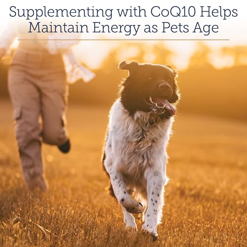 easy-to-take CoQ10 tablets