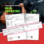 easy to take creatine gummies supplement